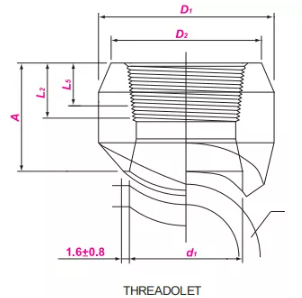 Types Of Stainless Steel Branch Outlet - weldolet&threadolet&socktolet